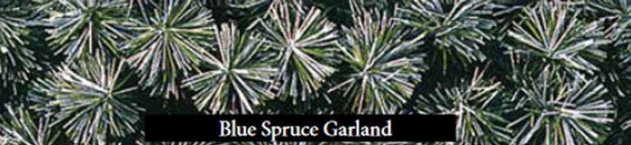 BLUE SPRUCE BRANCHED GARLAND
