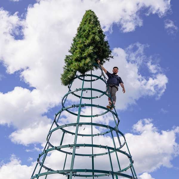 TANNENBAUM TOWER TREES